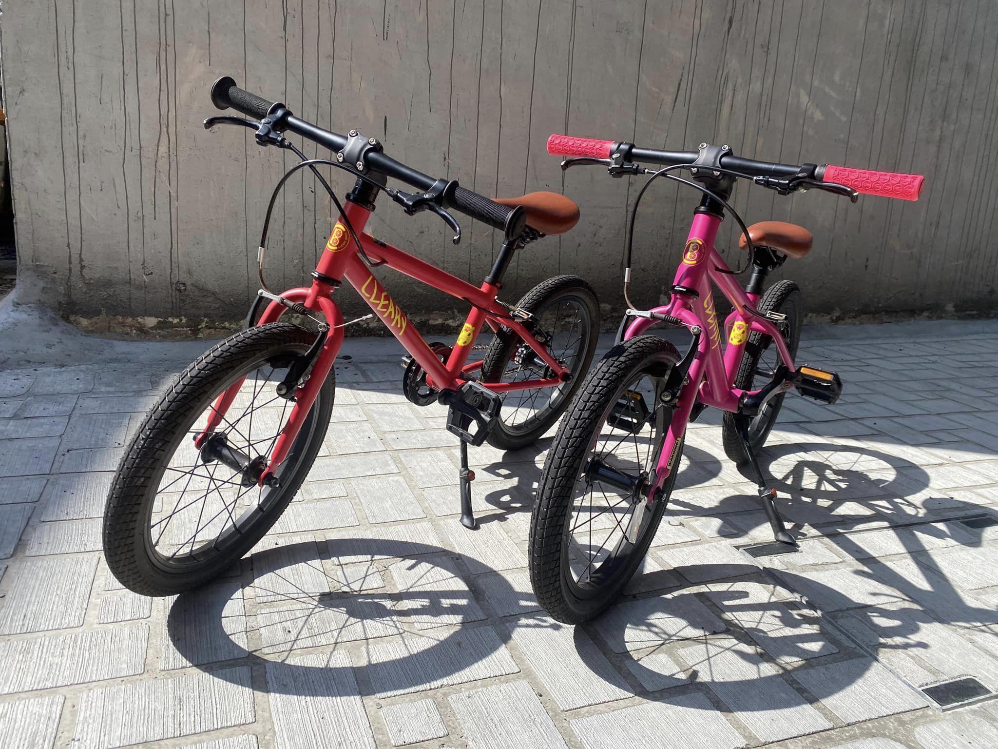 看著這兩部車 第一、二代的小刺蝟 Clearybikes TW 兒童腳踏車 兒童自行車